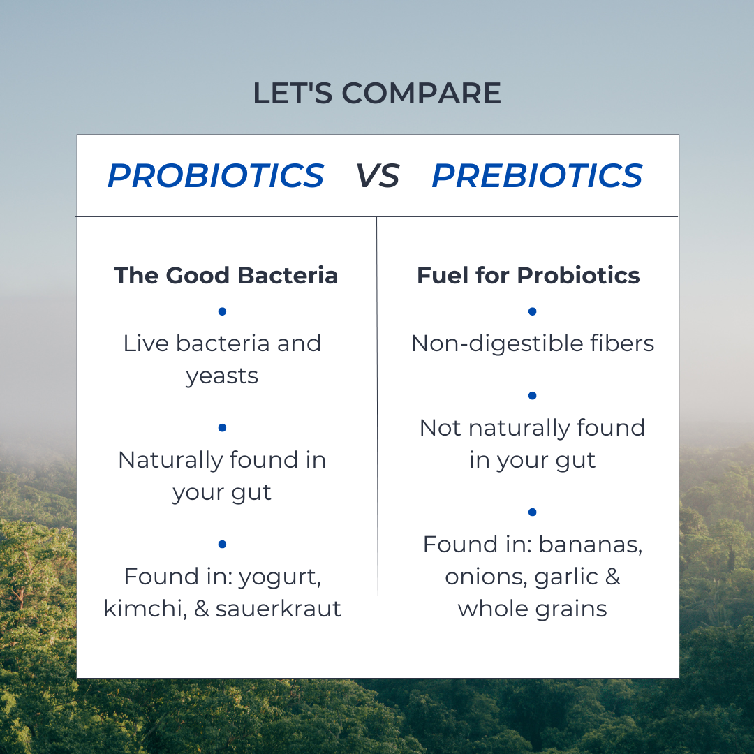 Probiotics vs. Prebiotics: Understanding Digestive Health Supplements ...
